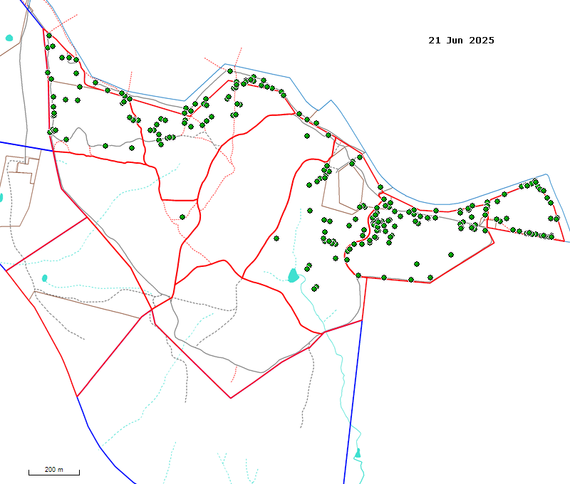 african lovegrass map, Friends of The Pinnacle